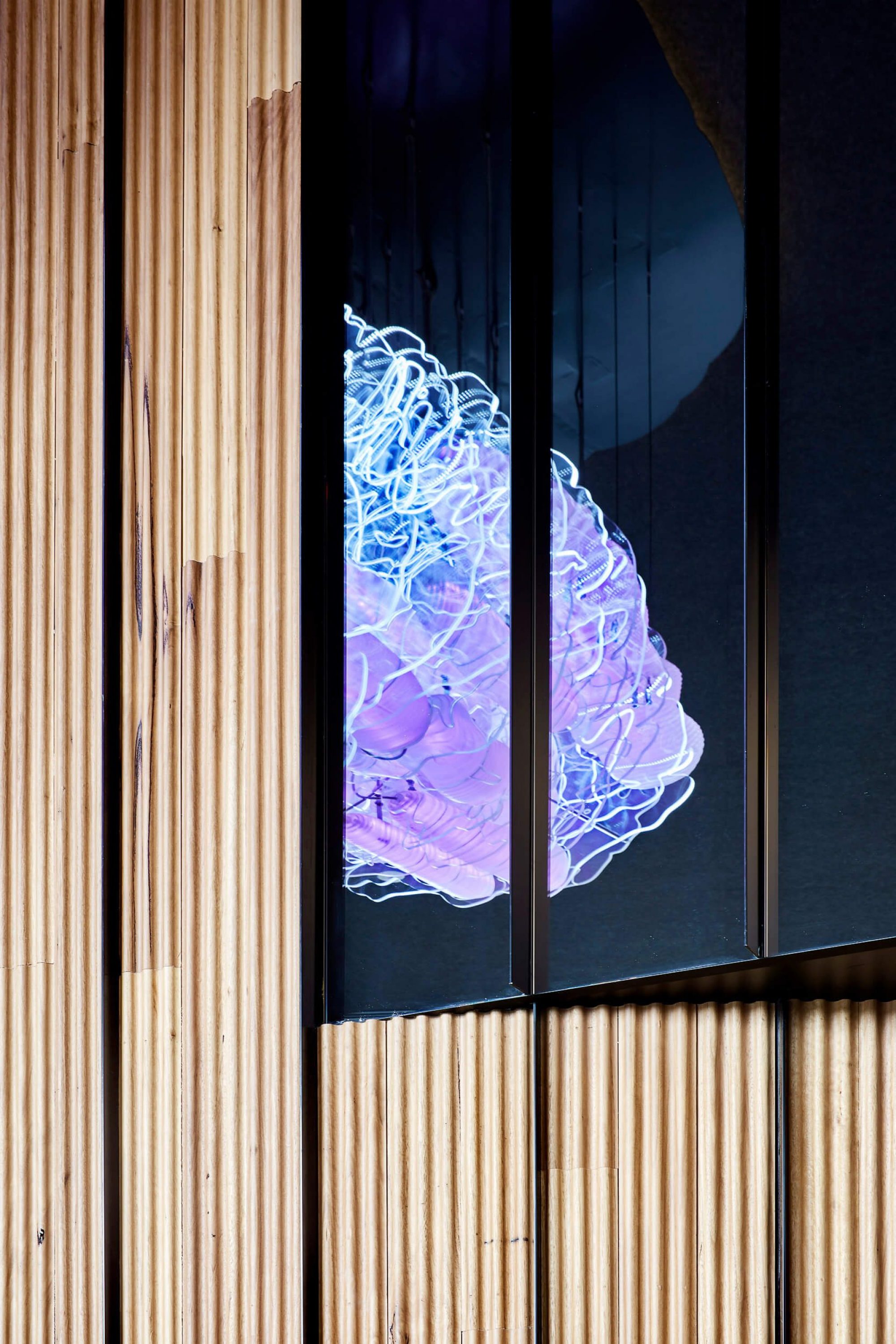 Splinter Society | Brainpark Neuroscience Research Clinic, Monash…