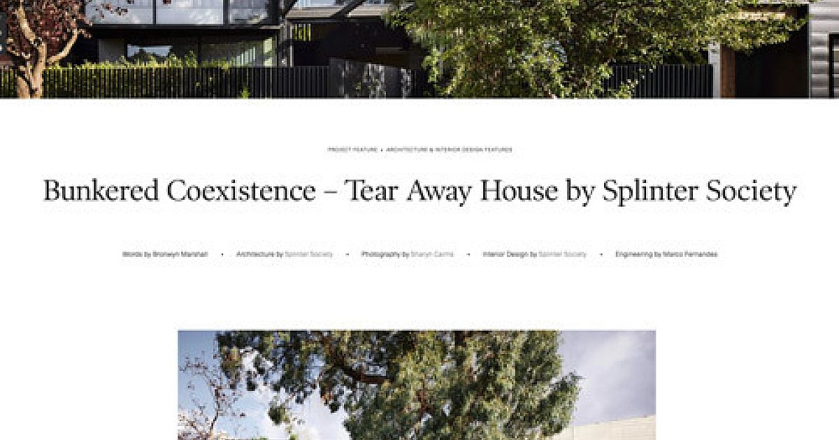 Splinter Society | The Local Project